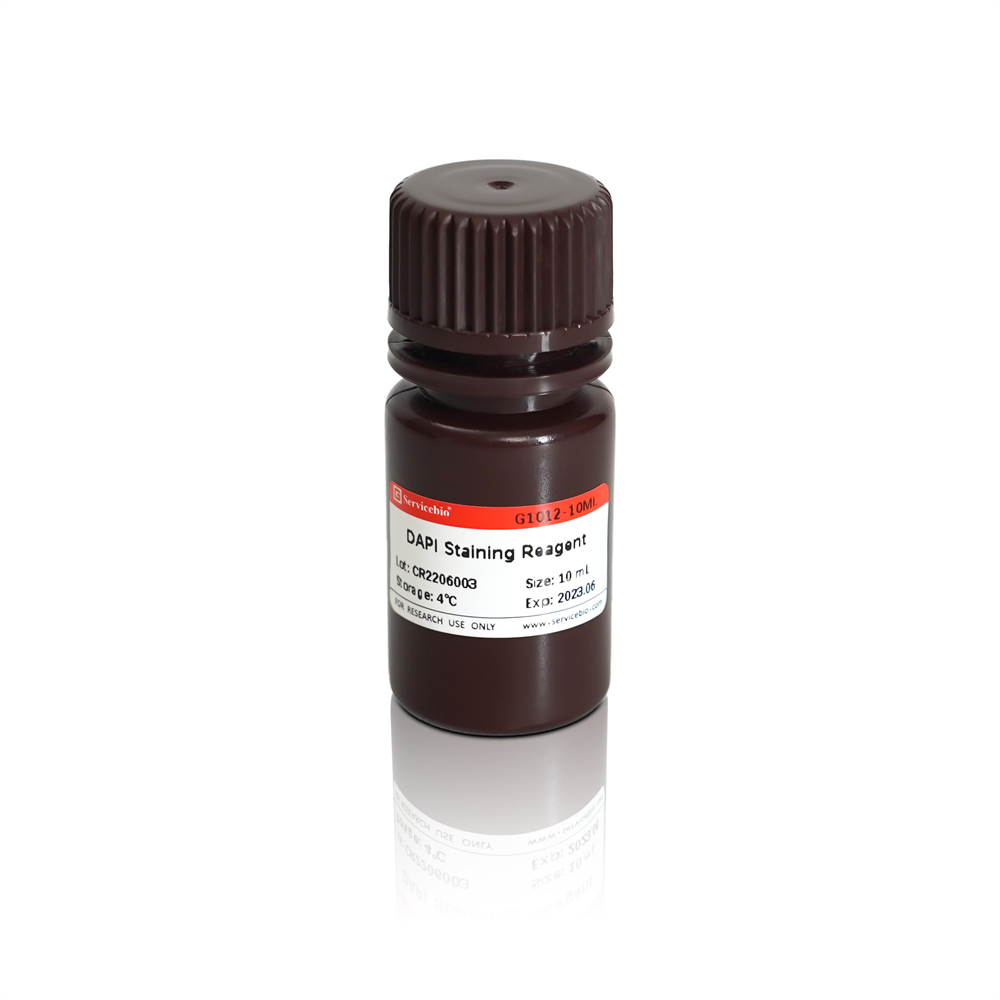 Servicebio Biological Products Servicebio Wuhan Servicebio