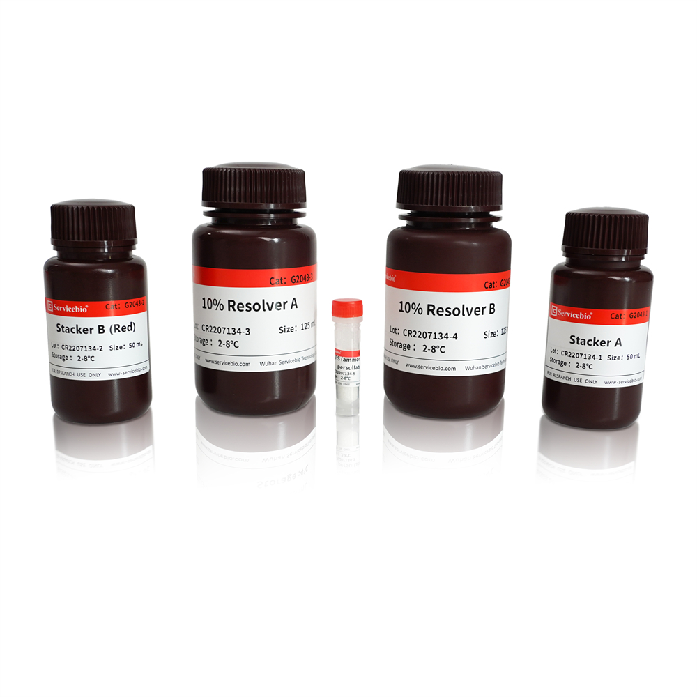 Servicebio Biological | Products _Servicebio_ Wuhan Servicebio ...