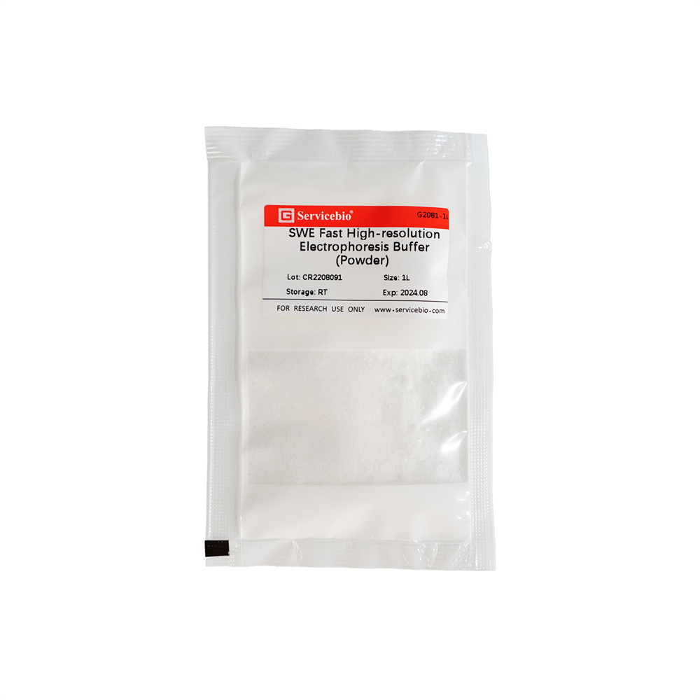 Servicebio Biological | Products _Servicebio_ Wuhan Servicebio ...