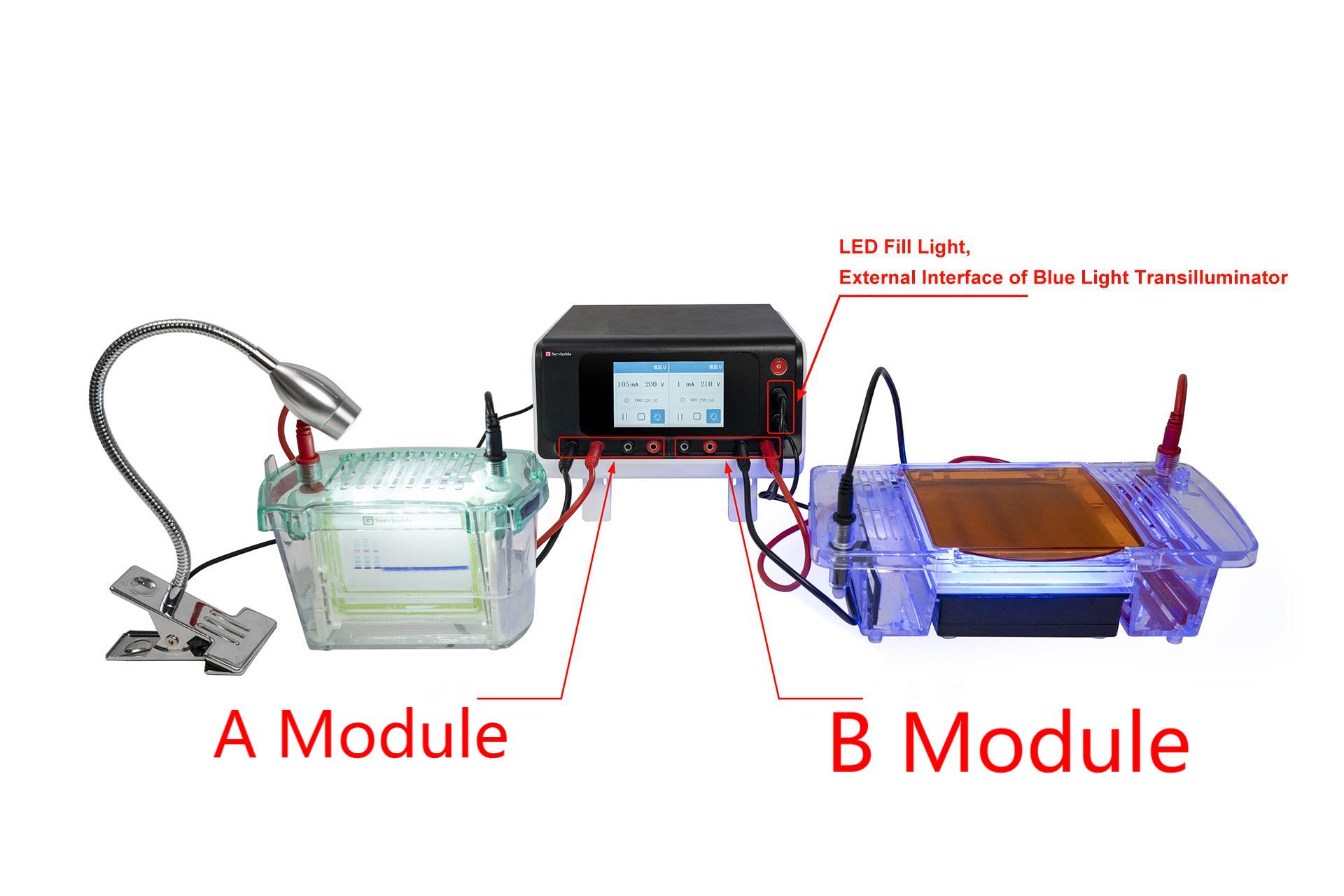 Servicebio Biological | Products _Servicebio_ Wuhan Servicebio ...