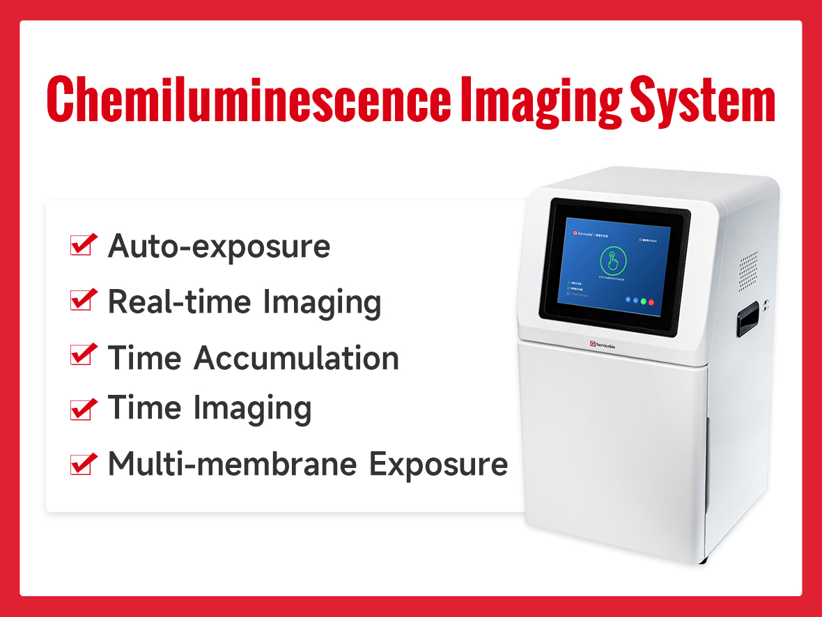 Servicebio Biological | Products _Servicebio_ Wuhan Servicebio ...