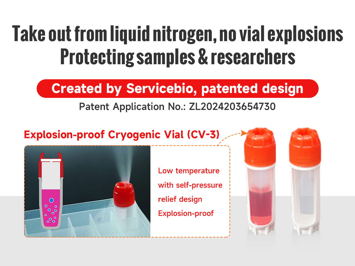 Servicebio Biological | Products _Servicebio_ Wuhan Servicebio ...
