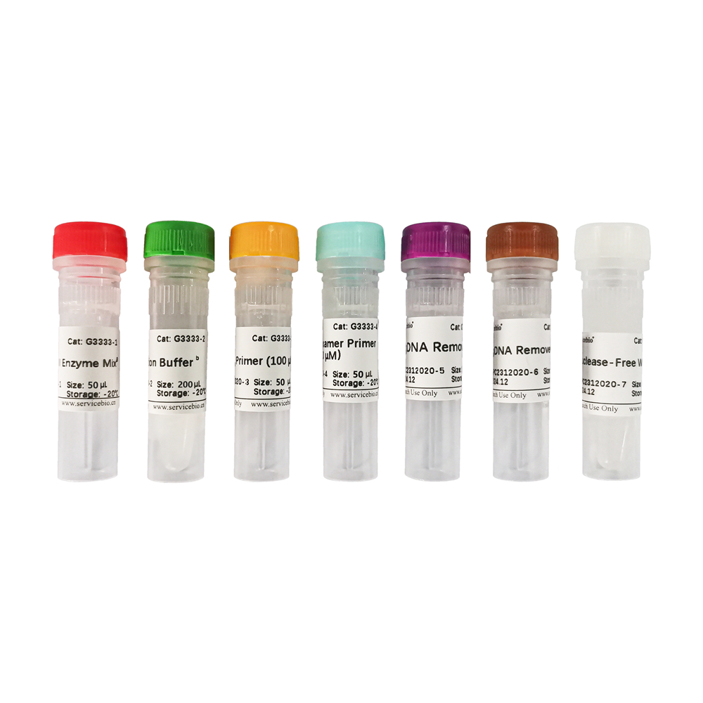 cdna synthesis kit