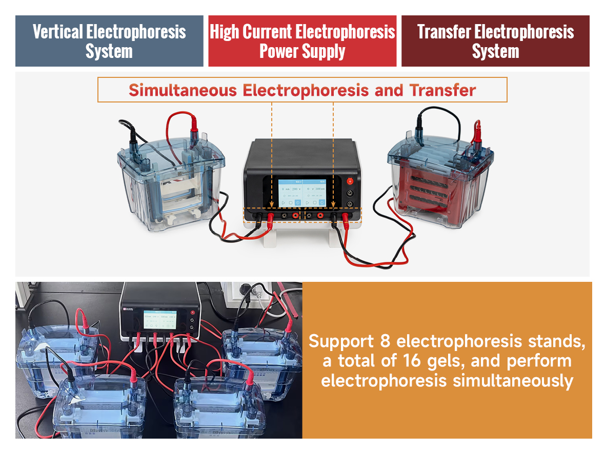 Servicebio Biological | Products _Servicebio_ Wuhan Servicebio ...